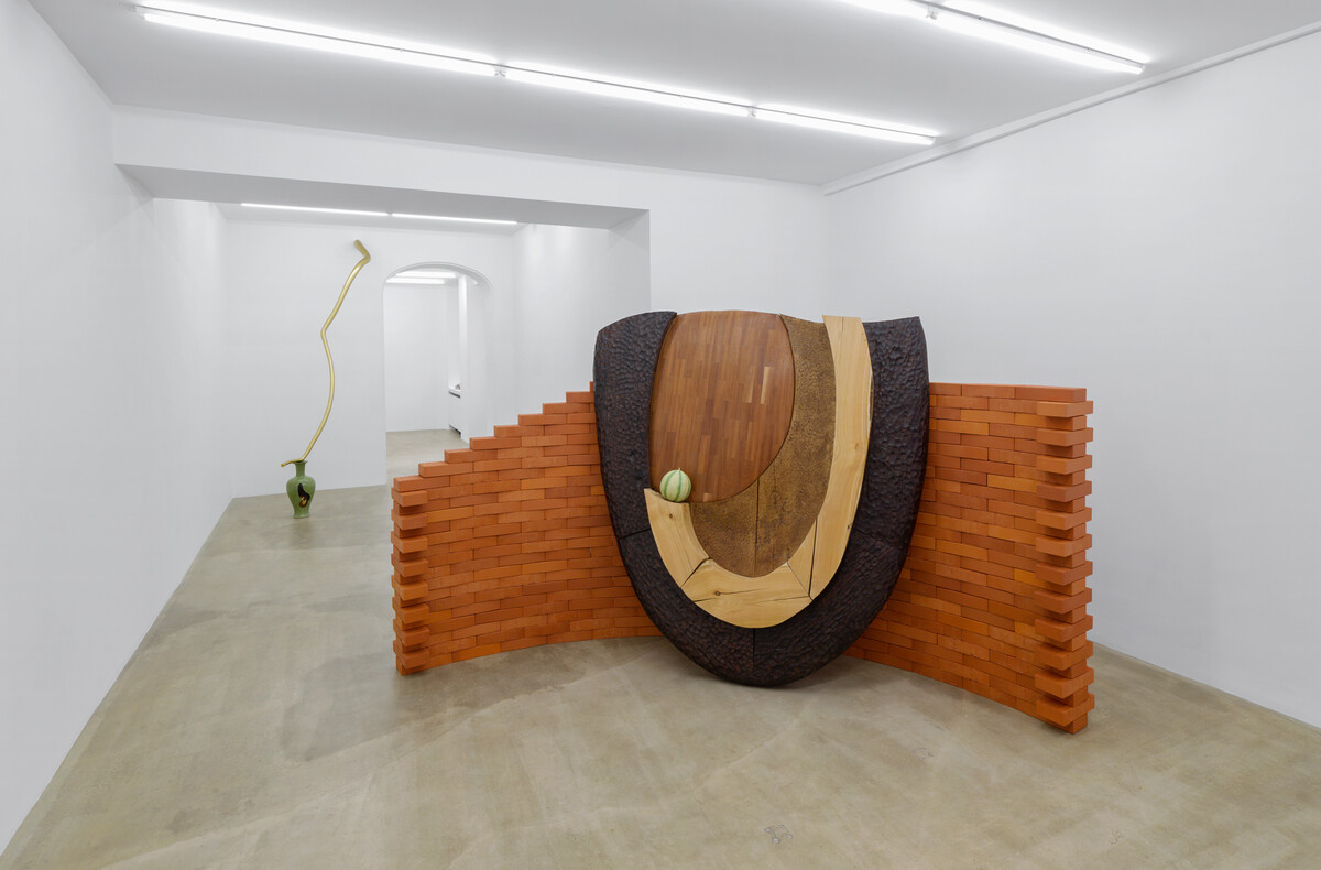 Wei Libo, « Homemade », Paris | sans titre